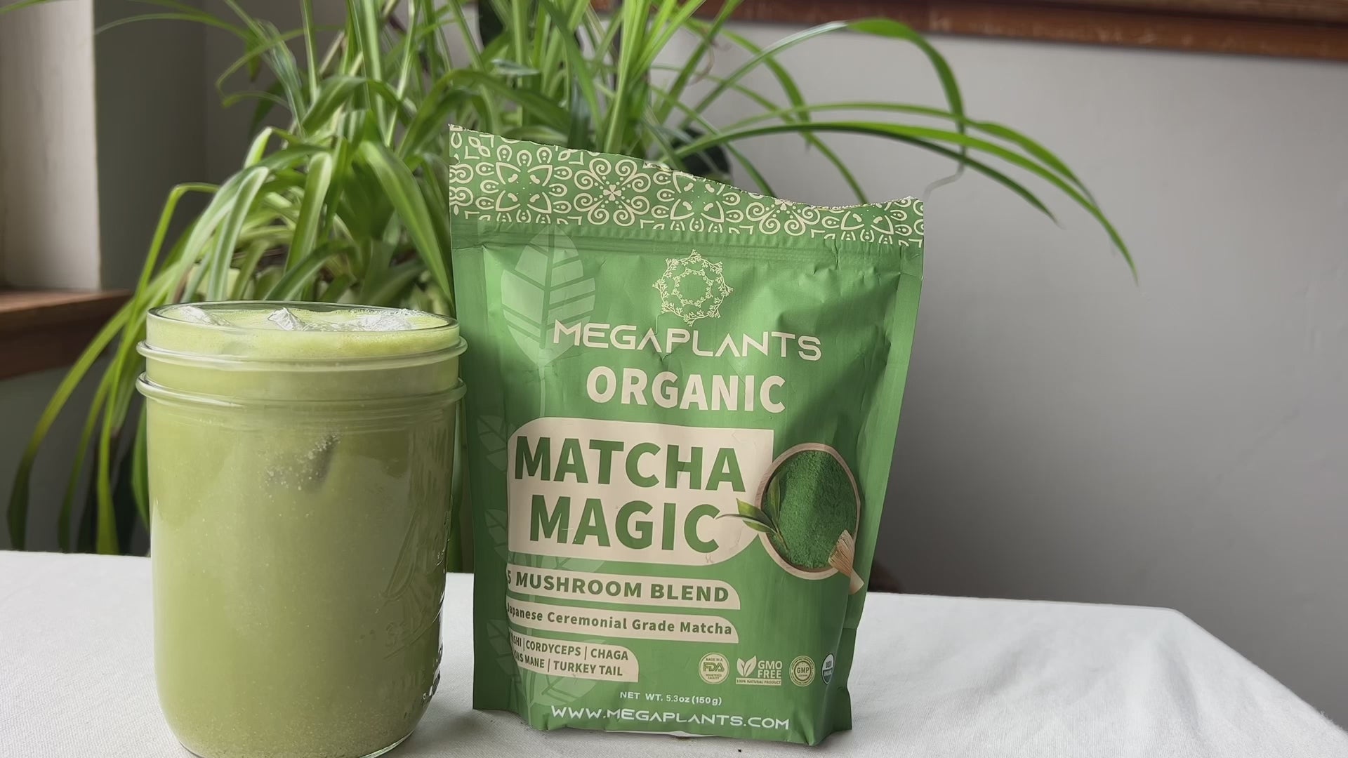 MegaPlants Matcha Magic